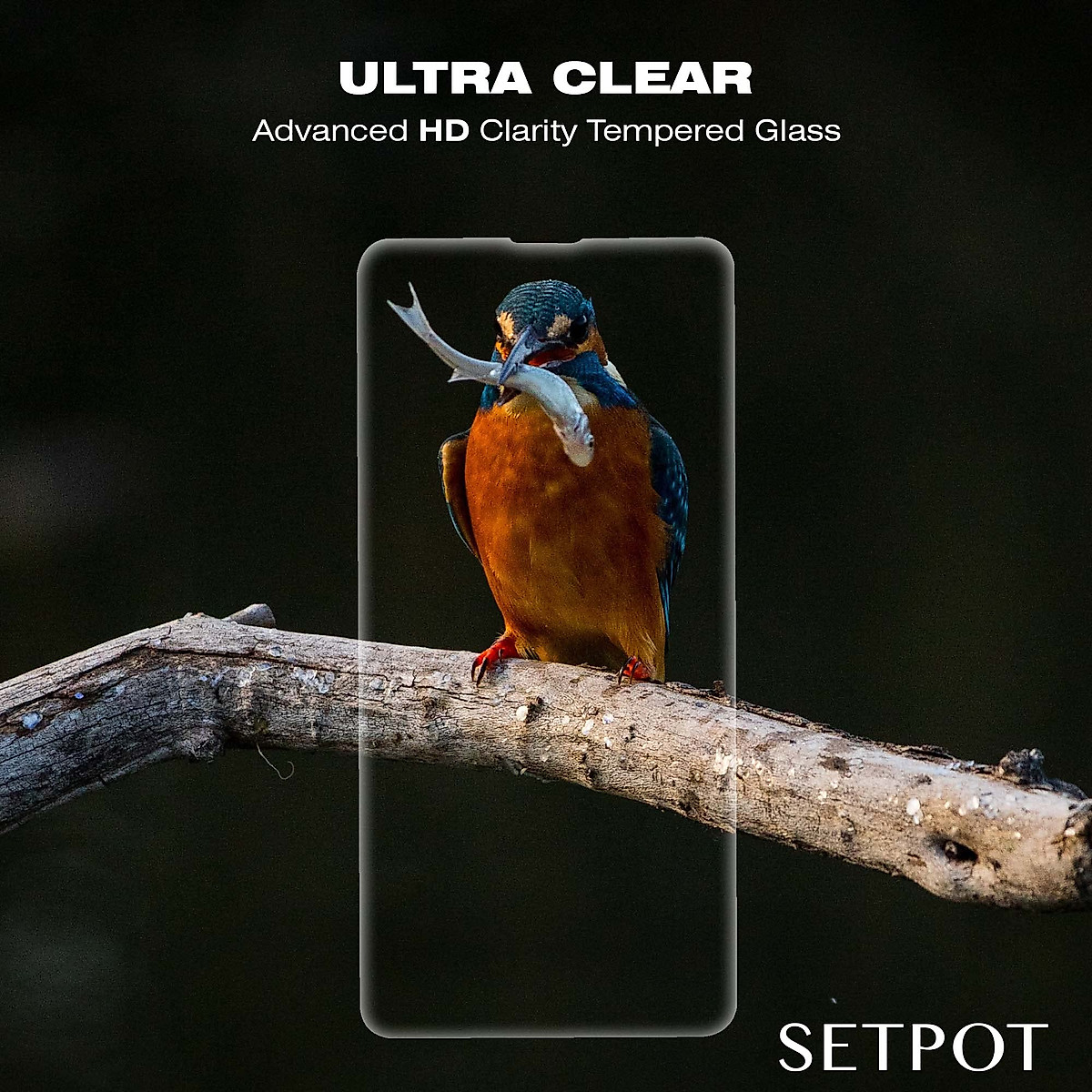 SETPOT Samsung Galaxy S22 Ultra 5G Smartphone Protective Bundle Tempered Glass HD Screen Protector| Factory Unlocked Android International Version, 8K, S Pen, No Warranty (256 GB, Burgandy)