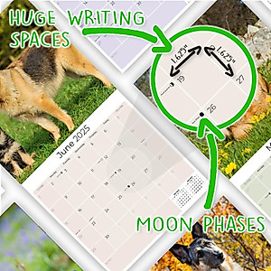 2024 2025 German Shepherd Calendar - Dog Breed Monthly Wall Calendar - 12 x 24 Open - Thick No-Bleed Paper - Giftable - Academic Teacher's Planner Calendar Organizing & Planning - Made in USA
