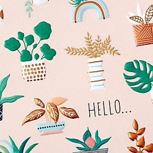 Hallmark Elegant All-Occasion Card Assortment (12 Cards with Envelopes, Refill Pack Card Organizer Box) Birthday, Thank You, Sympathy