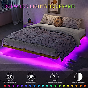 LUXOAK Full Size Floating Bed Frame with RGBW LED Light, Modern Metal Bed Frame with Steel Slat Support/Heavy Duty/No Box Spring Needed/Noise-Free, Gold