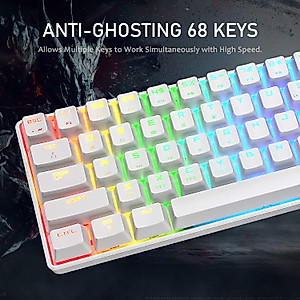 LexonElec MK 68 60% Mechanical Gaming Keyboard,Type-C Wired Computer Keyboard,18 Chroma RGB Backlit Keyboard Blue Switches,68 Keys Anti-ghosting for Laptop PC Gamer(White RGB)
