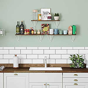 Wallniture Colmar Floating Shelves, Bookshelf Living Room Decor, Kitchen Organization Bathroom Organizer & Wall Shelves for Bedroom Decor Walnut Finish 24"x4.5" Set of 3