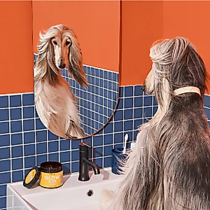 Wild One Glow Skin & Coat Supplements, Soft-Chews, Promote softened Skin and Healthy Coat for Dogs, 30+ Day Supply