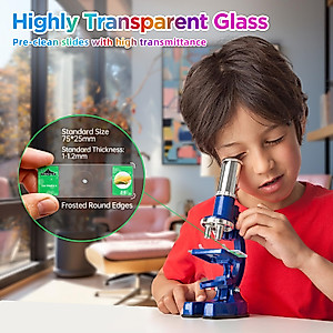 35 Microscope Slides with Specimens for Kids, Prepared Microscope Slides Set with Plants Animals Insects, Microscope Slides for Kids Students Homeschool Basic Education, Best Gift for Kids