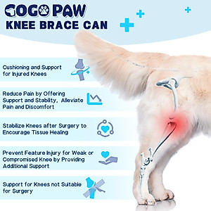 Dog Double Knee Brace for Torn ACL Hind Legs, Non-Slip Dog Double Leg Brace for Back Legs with Comfort Vest, Enhanced Stability Dog ACL Hip Brace with 2 Metal Strips for Ligament Injuries（Black,1-C)