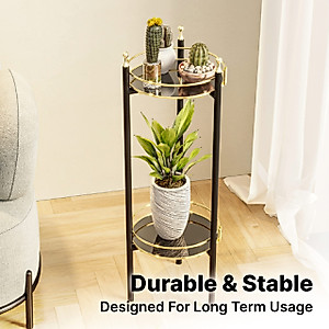 BENOLDY 2 Tier Plant Stand Table - Black Metal Frame with 2 Portable Golden Plate Tray, Plant Holder Stand, Serving Cart Tray and Wine Rack, Indoor/Outdoor Plant Shelf, Plant Pot Stand