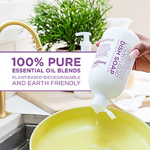 Sapadilla Liquid Dish Soap - Sweet Lavender + Lime - Made with 100% Pure Essential Oil Blends, Tough on Grease, Aromatic & Fragrant Dishwashing Liquid, Plant Based, Biodegradable, 12 Ounce (Pack of 1)