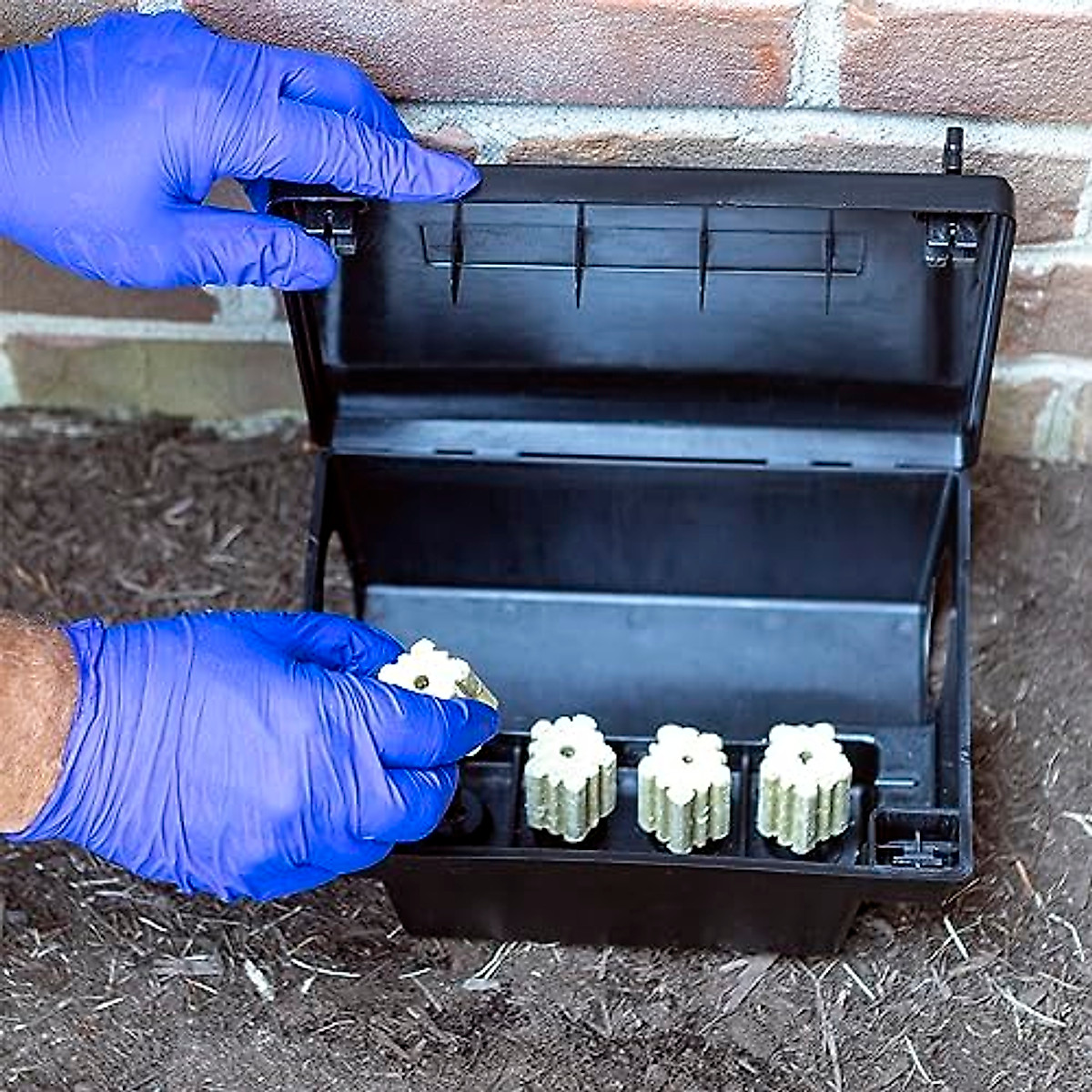 Neogen 000550 Rodent Bait Station, Black