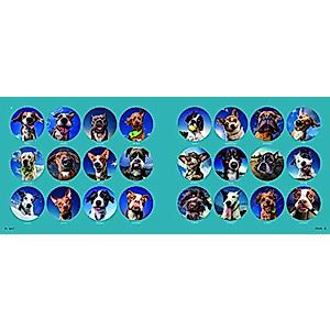 Dogtography: A Knock-Your-Socks-Off Guide to Capturing the Best Dog Photos on Earth