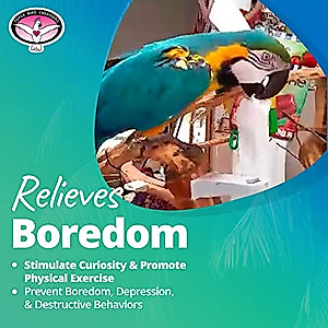 Super Bird Creations SB628 Tape Dispenser Bird Toy, Large Bird SIze, 14" x 5"