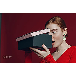 Christmas Stud Earrings for Women Christmas Acrylic Earrings for Women Gingerbread Earrings Dinosaur Earrings Rainbow Earrings Christmas Decorations