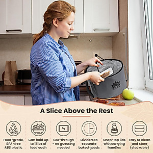 2 Pack Pie Carrier with Lid & Insulated Food Carrying Case Bag - 12" Food Storage Containers for Pies, Cheesecake, Flan, Pizza, Tortilla & More