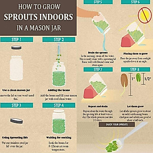 304 Stainless Steel Sprouting Lids for Wide Mouth Mason Jars and Making Organic Sprout Seeds 6 Pcs