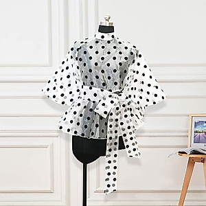 AOMEI Women's Stand Collar Polka Dot See Through Front Tie Peplum Blouse Transparent XXL
