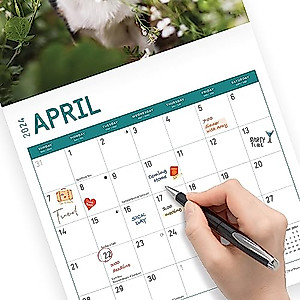 2024 Corgis Monthly Wall Calendar by Bright Day, 12 x 12 Inch Cute Dog Breed Gift