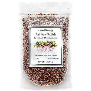 Rainbow Radish Sprouting Seeds Mix | Heirloom Non-GMO Seeds for Sprouting & Microgreens | Contains Red Arrow, Purple Triton & White Daikon Radish Seeds 1 lb Resealable Bag | Rainbow Heirloom Seed Co.