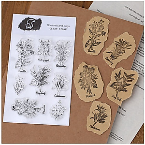 Forever Stamps Silicone Clear Stamps - Plants Botanic Pattern with Arylic Block Set for Card Making Decoration and DIY Scrapbooking ZENTA