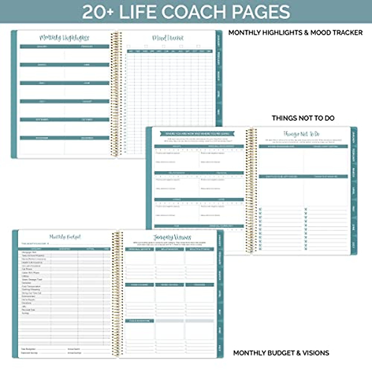 bloom daily planners All in One Ultimate Monthly & Weekly Undated Calendar Planner, Notebook, Sketch Book, Grid Pages, Coloring Book and More! 9" x 11" - Interchangeable Cover