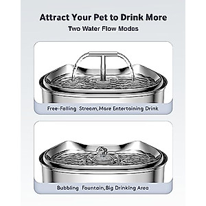 Cat Water Fountain Stainless Steel, 84Oz/2.5L Pet Water Fountain Cat Dog Water Dispenser with Water Level Window and Ultra Quiet Pump for Cats and Dogs
