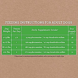 Cloud Star Dynamo Dog Hip & Joint Soft Chew Treats Chicken Formula - Grain Free - 14 oz (20132)