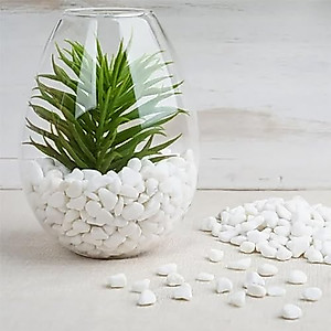 npkgvia White Gravel Pebble Stones Vase Fillers Potted Decorative Stone Garden Ornaments Ornament Bulk (White, One Size)