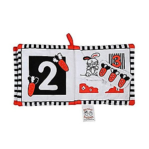 Genius Baby Toys | Brilliant Beginnings Infant Toys Gift Set and Bundle, 6 ct Includes Teether, Rattle, Jingle Ball, Rattle Booties, Cloth Book and Flashcards