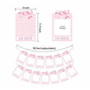 Pink Bow Photo Banner,First Birthday Decorations for Girl,Newborn to 12 Months Photo Banner,1st Birthday Milestone,First Year Photos,Baby Shower