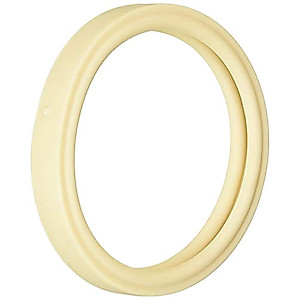 Pentair 79108500 Replacement Lens Gasket for SpaBrite And AquaLight Pool and Spa Lights