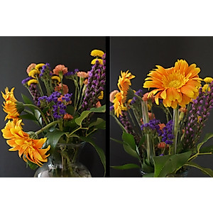 100 3/8" Wide Smoothie and Bubble Tea Fat Straws - Sparkling Clear (3/8" Wide XL)