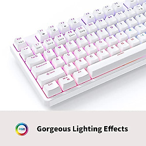 CIY X77 Hot-Swappable Mechanical Keyboard/RGB Gaming Keyboard/USB C/Anti Ghosting/N-Key Rollover/Compact Layout 87 Key/Magnetic Upper Cover/for Mac Windows (White and Red switch)