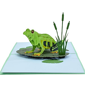 CUTPOPUP Birthday Card Pop Up, 3D Greeting Card (Frog)