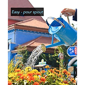 Joequality Watering Can for Outdoor&Indoor Plants，Galvanized Steel Watering Can with Stainless Steel Handles，1 Gallon Metal Plant Watering Pot Gardening Tools，Blue