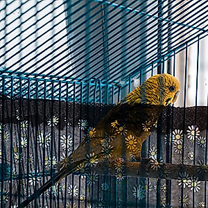 ULTECHNOVO Bird Cage Food Catcher Bird Cage Cover, Adjustable Parrot Nylon Airy Soft Mesh Net, Catcher, Birdcage Cover Skirt Sheer Guard for Parakeet Macaw Round Square Cages