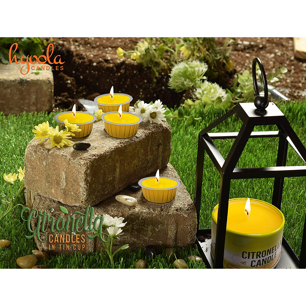 Hyoola Citronella Candles in Aluminum Cup - 6 Pack - Scented Candles Citronella - 4 Hour Burn Time - 1" x 2 Citronella Candle Outdoor and Indoor Use - Made in Europe