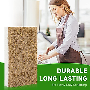 Rasket 10 Pack Biodegradable Natural Sponges Kitchen - Compostable Cellulose and Coconut Walnut Scrubber Sponge - Eco Friendly Sponges for Dishes