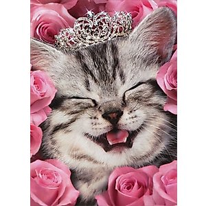 Kitten Face Flowers Tiara - Avanti Cat Birthday Card