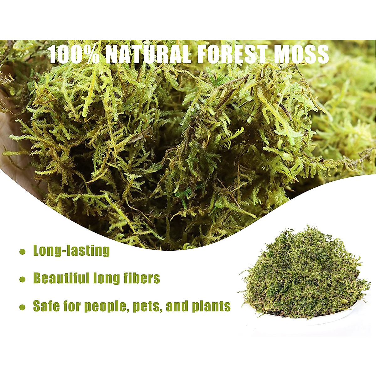 O-FarFarm Dried Forest Moss for Plants 5.3oz / 3qt, Green Orchid Sphagnum Moss, Long Fibered Dried Moss for Succulents Garden Flowers Pot and Reptiles