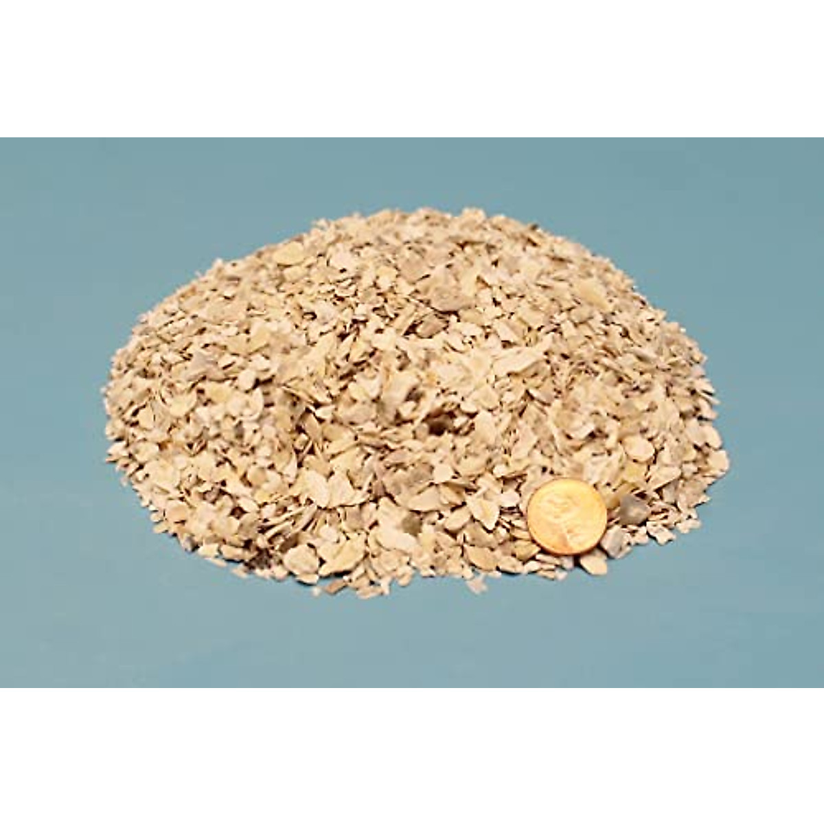 Pacific Oyster Shells - Crushed Oyster Shell Calcium Supplement for Egg-Laying Poultry (Chickens & Ducks) (10)