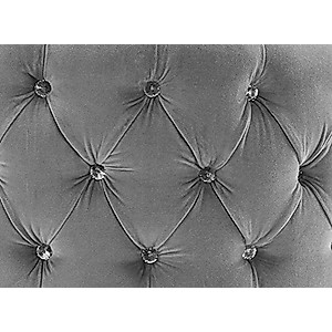 Tov Furniture The Adina Collection Contemporary Living Room Velvet Upholstered Loveseat, Grey with Gold Legs