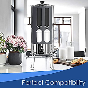 BB9-2 Water filter, Black Purification Elements Water Purifier Replacement Filters Compatible with Gravity Filter System, Doulton Super Sterasyl and Propur Traveler, King, Big Series, 4 Pack