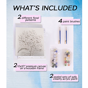 CRAFTBARN - 2 Framed DIY Paint by Numbers for Adults Beginner, Paint by Number for Adults Framed Canvas, Painting by Numbers for Adults, 2 10x10, Paint by Number for Adults, Crafts for Adults Women