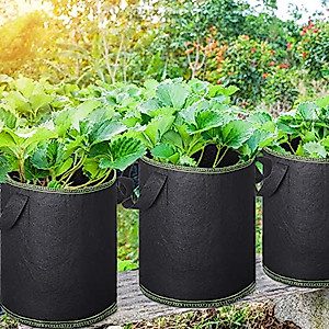 Mimorou 40 Pack 5 Gallon Fabric Grow Bags Nonwoven Aeration Fabric Pots with Handles Heavy Duty Thickened Aeration Container for Garden and Planting Vegetable Flowers, Black with Green, Black,green