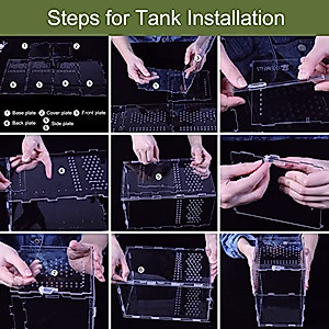 FORKPIE Habitat Terrarium Enclosure Reptile Terrarium Acrylic Tank Full View Jumping Spider Tarantula Enclosure, Insects Feeding Tank for Reptiles Mantis Lizard Habitat Snake Gecko(4.7x4.7x7.8inch)