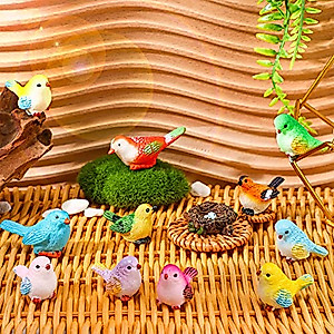 25 Pcs Miniature Bird Figurines Tiny Bird Figurines Mini Fairy Animal Figurines Resin Birds Toy Statues for Garden Micro Landscape Home Terrarium Crafts Cake Cupcake Toppers Dollhouse Decorations