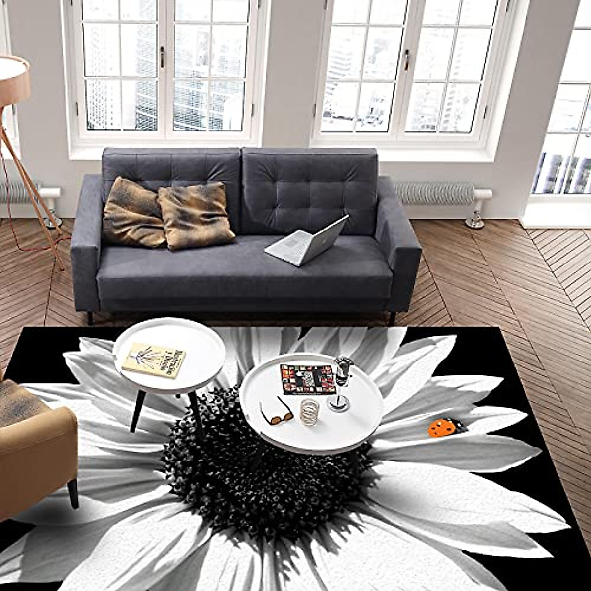 Aomike Indoor Area Rug Doormat- Sunflower in Black and White Ladybug and Flower Contemporary Rug for Living Room/Bedroom/Front Porch/Hallway/Farmhouse, 2'7"x5'