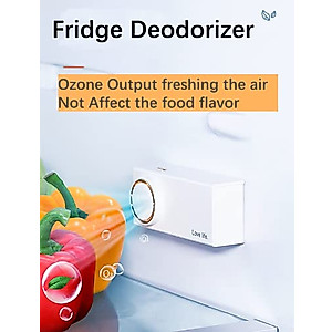 Fridge Air Purifier Compact wireless USB recharge Refrigerator Deodorizer, air refresher for car fridge closet wardrobe