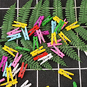 DECORA 2.5cm Multicolor Wood Mini Clothespin 72 pieces in One Package