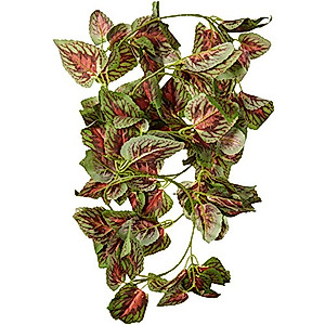 Fluker's Repta Vines for Reptiles and Amphibians Terrariums - Red Coleus