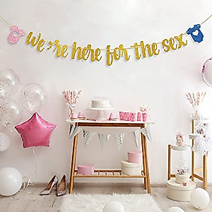 T-minimalist We're Here for The Sex Banner, Funny Baby Gender Reveal Party Decorations, Baby Shower Party Hanging Decors Supplies, Gold Gliter Paper Garland / Cute Baby Clothes Sign Banner 11.7 Feet