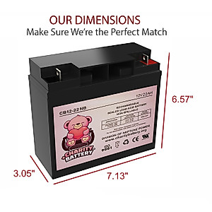 Charity Battery CB12-22 - 12V 22Ah CB19-12 SLA AGM Rechargeable Deep Cycle Replacement Battery